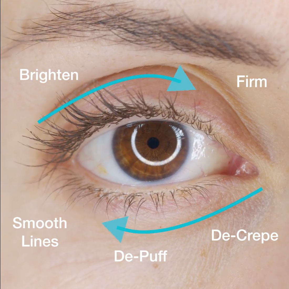 MD Complete Total Eye Treatment – MD Complete Skincare